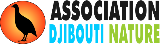 Godoria / Doumeira – Djibouti Nature